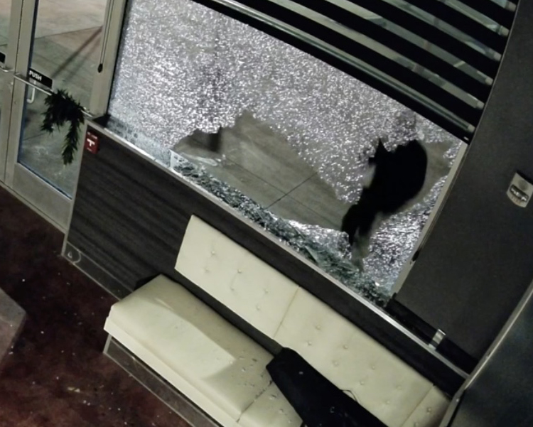 VIDEO: Kahului restaurant vandalized for third time Sunday morning ...